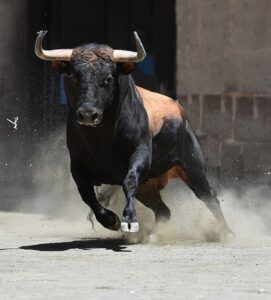 What is Bull, Types and History