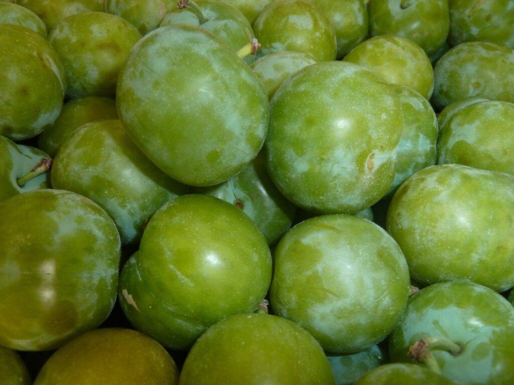 What is Greengages, Its Benefits and History