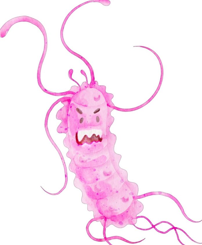 What is Bacteria? How Does It Make Us Sick?